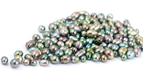 From Akoya To Tahitian Your Ultimate Guide To Exquisite Pearl Types