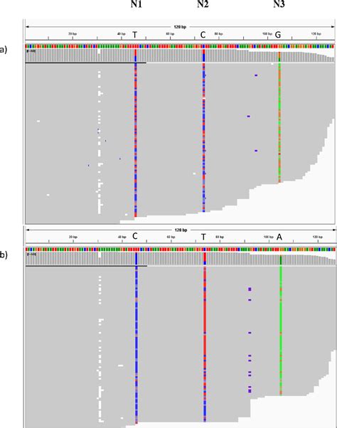 figure 1 from next generation dna sequencing of panax samples revealed