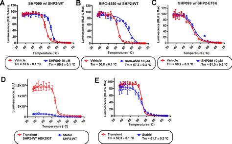 Assessing Cellular Target Engagement By Shp2 Ptpn11 Phosphatase Inhibitors
