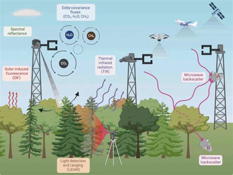 Proximal Remote Sensing An Essential Tool For Bridging The Gap Between