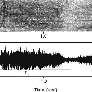 Spectrogram Top And Relative Power Spectrum Bottom Of A Single Download Scientific Diagram