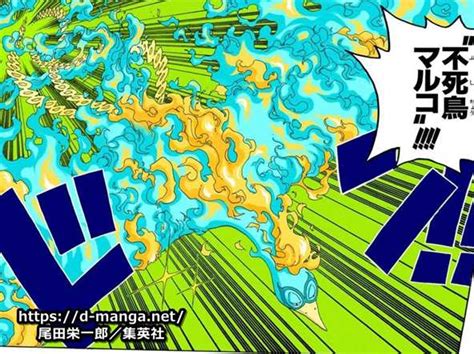 【ワンピース考察】マルコまとめ！悪魔の実は不死鳥？現在は？懸賞金は？【モデル名言】【不死鳥フェニックス】【不老不死】 ドル漫