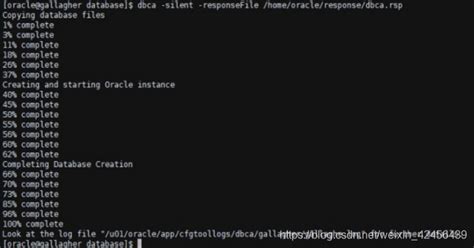 oracle11g静默安装及实例安装 oracle静默安装指定字符集 csdn博客