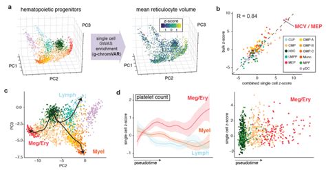 Application Of G Chromvar To Single Cell Chromatin Accessibility Data Download Scientific