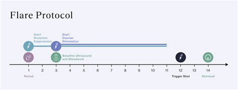 Ivf Ovarian Stimulation Protocols