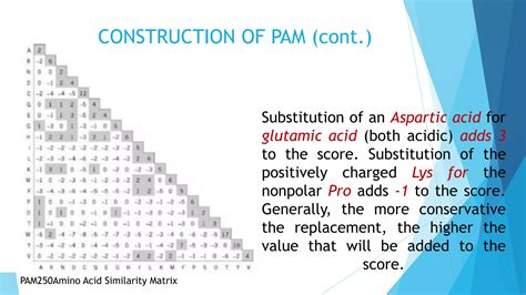 Scoring Schemes In Bioinformatics Pptx