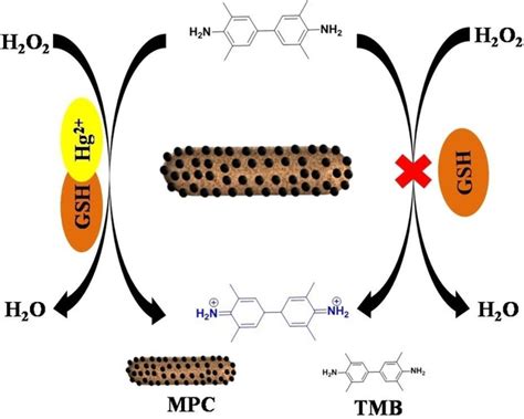 Enhanced Peroxidase Mimetic Activity Of Magnetic Porous Carbon Mpc