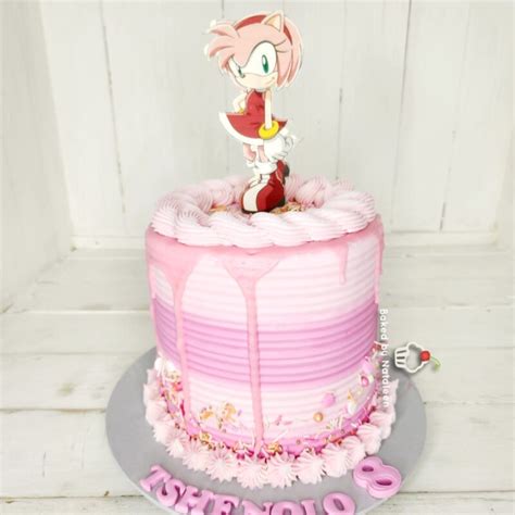Amy Rose Pink Sonic Girlfriend Cake Baked By Nataleen