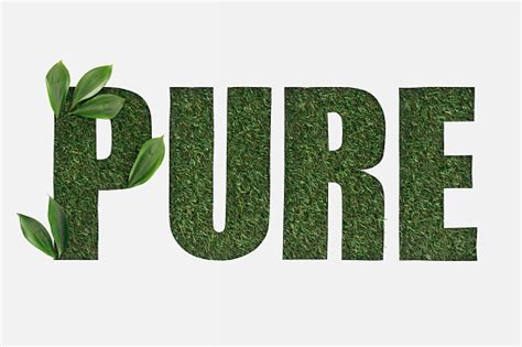 흰색에 고립 된 잎과 녹색 잔디에 순수한 문자를 잘라의 상단보기 0명에 대한 스톡 사진 및 기타 이미지 0명 깨끗한 녹색 Istock