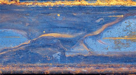 Of Brontosauri And Empty Tombs Georgia Today