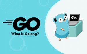 What Is Golang Advantages And Disadvantage Of Go Bestarion
