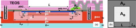 A Schematic Cross Section Of The Sipm Pixel Described In The Text