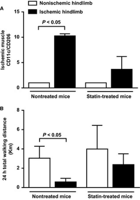 Effect Of Atorvastatin On Hindlimb Muscles Macrophage Phenotype