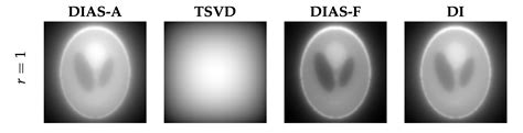 dias a data informed active subspace regularization framework for