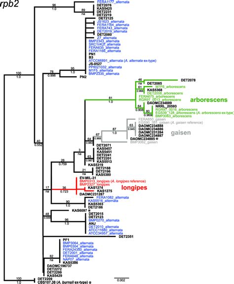 Maximum Likelihood Tree Constructed From The Rna Polymerase Ii Second Download Scientific