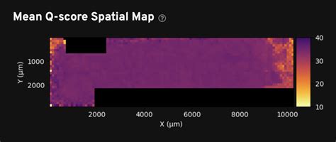 Overview Of The Xenium Analysis Summary Official 10x Genomics Support