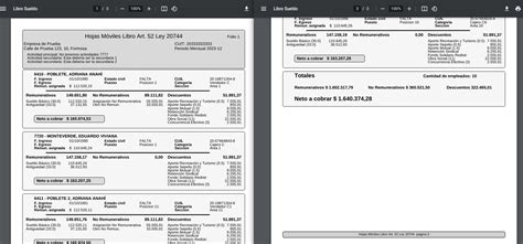 Payroll Arg Reportes PyPI