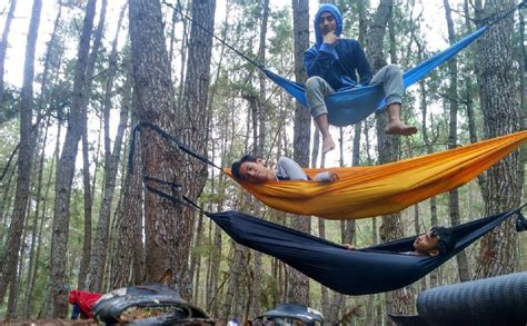 Beneran Bro Camping Di Hutan Pinus Baredok Enrekang Udaranya Dingin