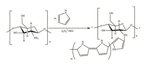 graft copolymerization of polypyrrole chitosan download scientific