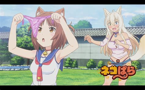 Nekopara Episode Discussion R Anime
