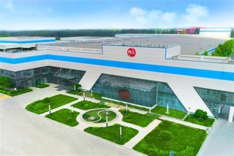 哈佛研究证实核桃健康益处 “六个核桃”助力营养高效吸收 Tom资讯