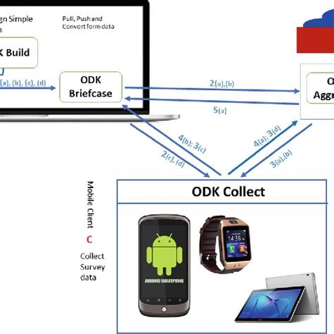 Pdf Mobile Data Collection Using Open Data Kit