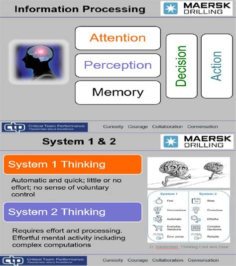 Behaviours Pdf
