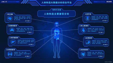 医疗大屏，大数据可视化ui大屏，psd源文件 医保数据化大屏原型图 csdn博客
