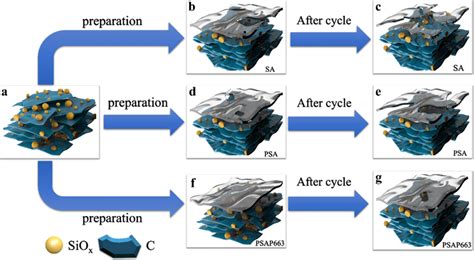 A−g Evolution Of The Sio X C Particles In The Sio X C Anodes With Download Scientific