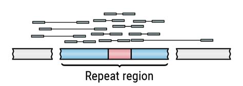Bam Which Is Separated By Chromosome · Issue 148 · Illumina