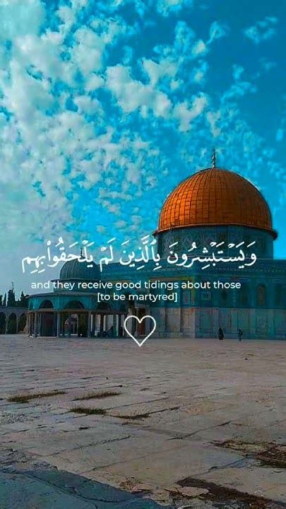 ولا تحسبن الذين قتلو في سبيل الله امواتا بل احياء عند ربهم يرزقون 🇵🇸🇵🇸 Youtube