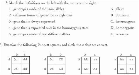 50 monohybrid cross practice problems worksheet chessmuseum template