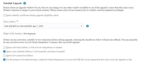 Upgrading Your Oracle Integration Cloud Gen2 Instance To Oracle