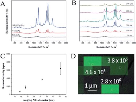 A Comparison Of Sers Spectra Of Sio 2 Au Sio 2 Ag And Sio 2