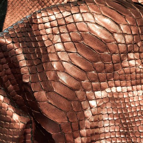 Python Naveen Copper