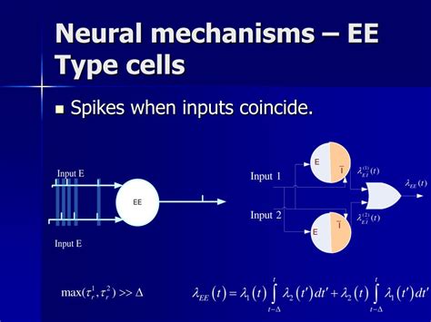 Ppt Stochastic Properties Of Neural Coincidence Detector Cells Powerpoint Presentation Id