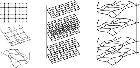 Sample 2 D And 3 D Grids Regular Irregular Warped Nest From Top Download Scientific Diagram