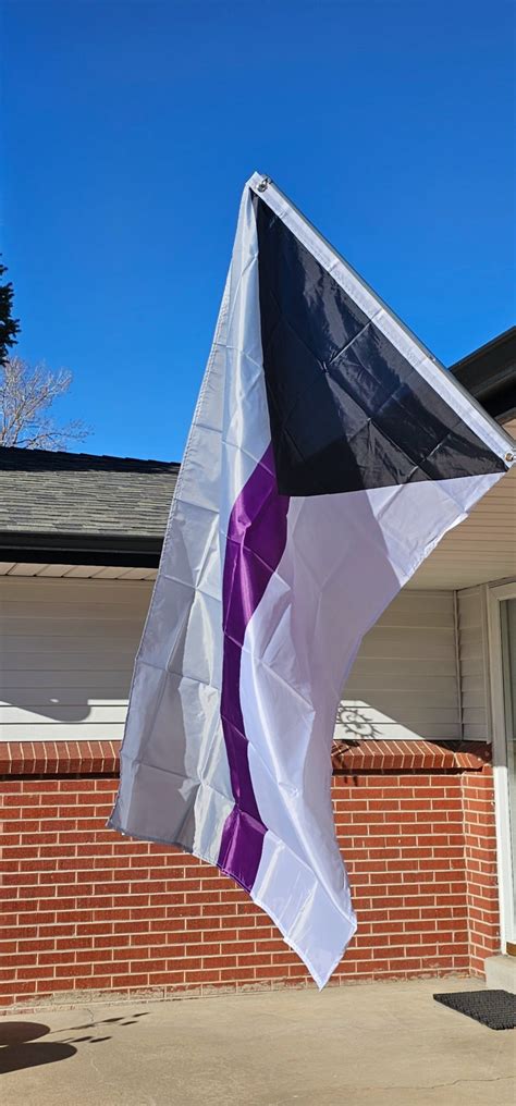 Demi Sexual Pride Flag System Fly Wright Flags