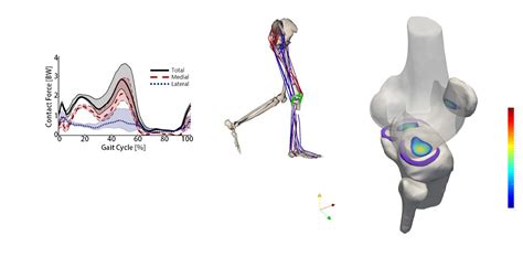 Computational Biomechanics Laboratory For Movement Biomechanics ETH Zurich