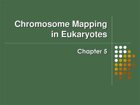 Ppt Chromosome Mapping In Eukaryotes Powerpoint Presentation Free