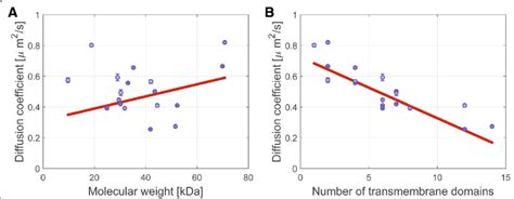 Dependence Of Membrane Protein Diffusion Coefficients On Protein Size Download Scientific