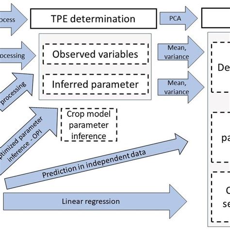 Materials And Methods Workflow Download Scientific Diagram