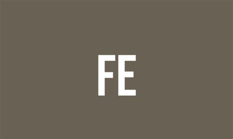 What Does Fe Mean? - Meaning, Uses and More - FluentSlang