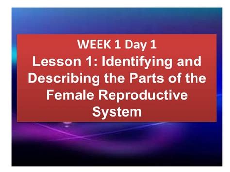 Female Reproductive System Lesson Of Grade 9 In Biology Ppt