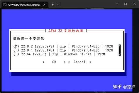 JAVA 版本多版本切换 傻瓜式操作工具 知乎