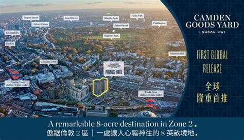 Lilly D Posted On Linkedin