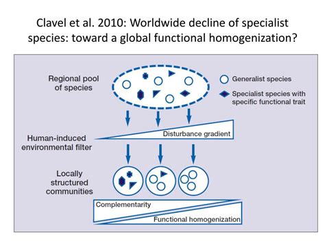 Ppt Biotic Homogenization Powerpoint Presentation Free Download Id
