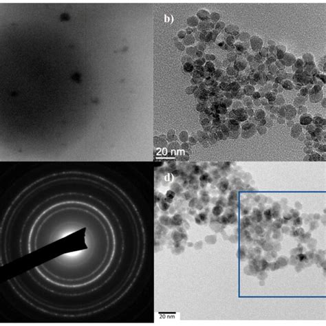 Potentiometric Determination Of Amino Groups In Magnetic Microparticles Download Scientific