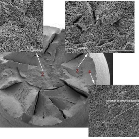 Tensile Fracture Mode Characterization Of The Specimen At 100 °c